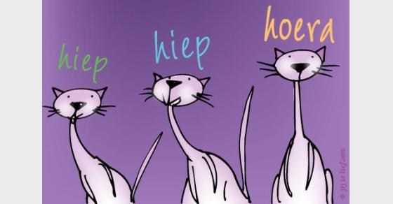 Jij is Lief - kaart: Hiep hiep hoera