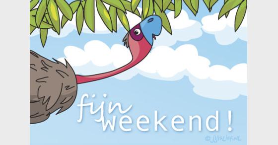 Jij is Lief - kaart: Fijn weekend!