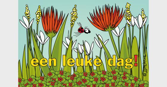 Jij is Lief - kaart: Een leuke dag!