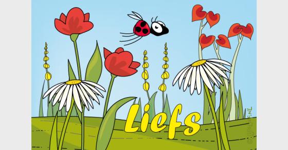 Jij is Lief - kaart: Liefs